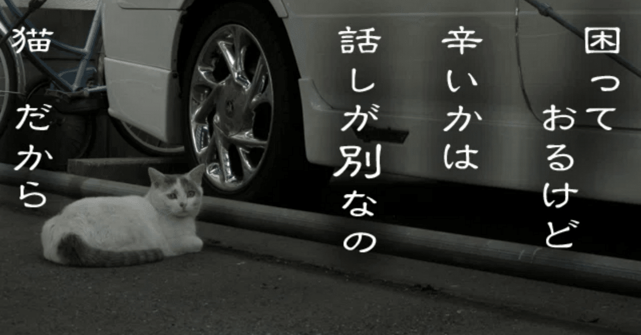 特定外来生物クビアカツヤカミキリについて｜unitason