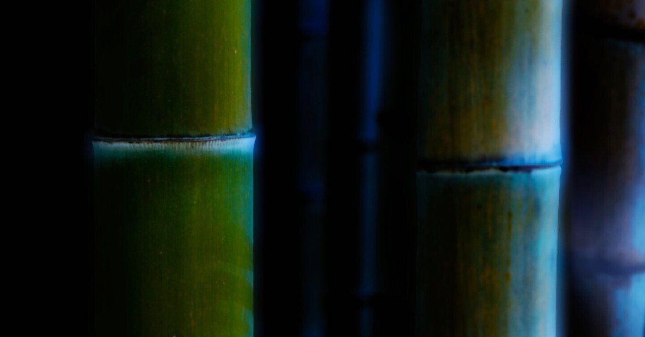 再び青竹｜YUTA録