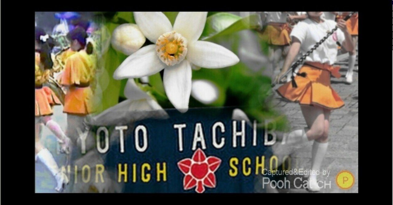 I can feel the scent of hope, on you… (#4)（あなたには 希望の 匂いがする…）｜The ...