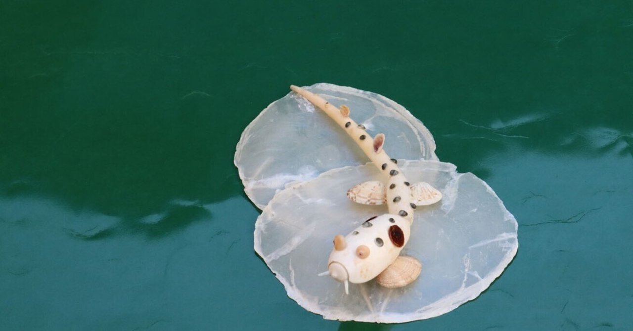 「エポーレットシャーク」｜zoo_shell