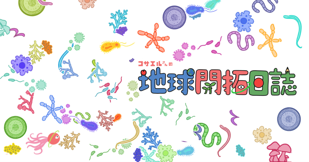 ソレガシ、光を見る【地球開拓日誌 #5】｜ima studio