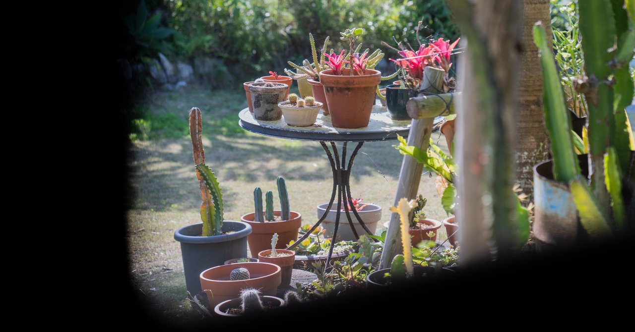 書ける日と書けない日｜WADA HITOMI｜note