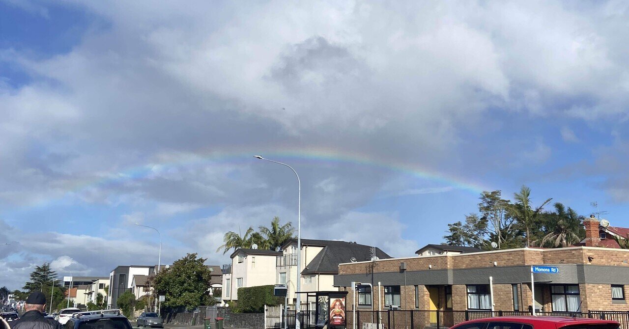 【リアル公開】ワーホリ女子の1週間スケジュール｜NZ生活10ヶ月目🌿｜hapipi ワーホリ