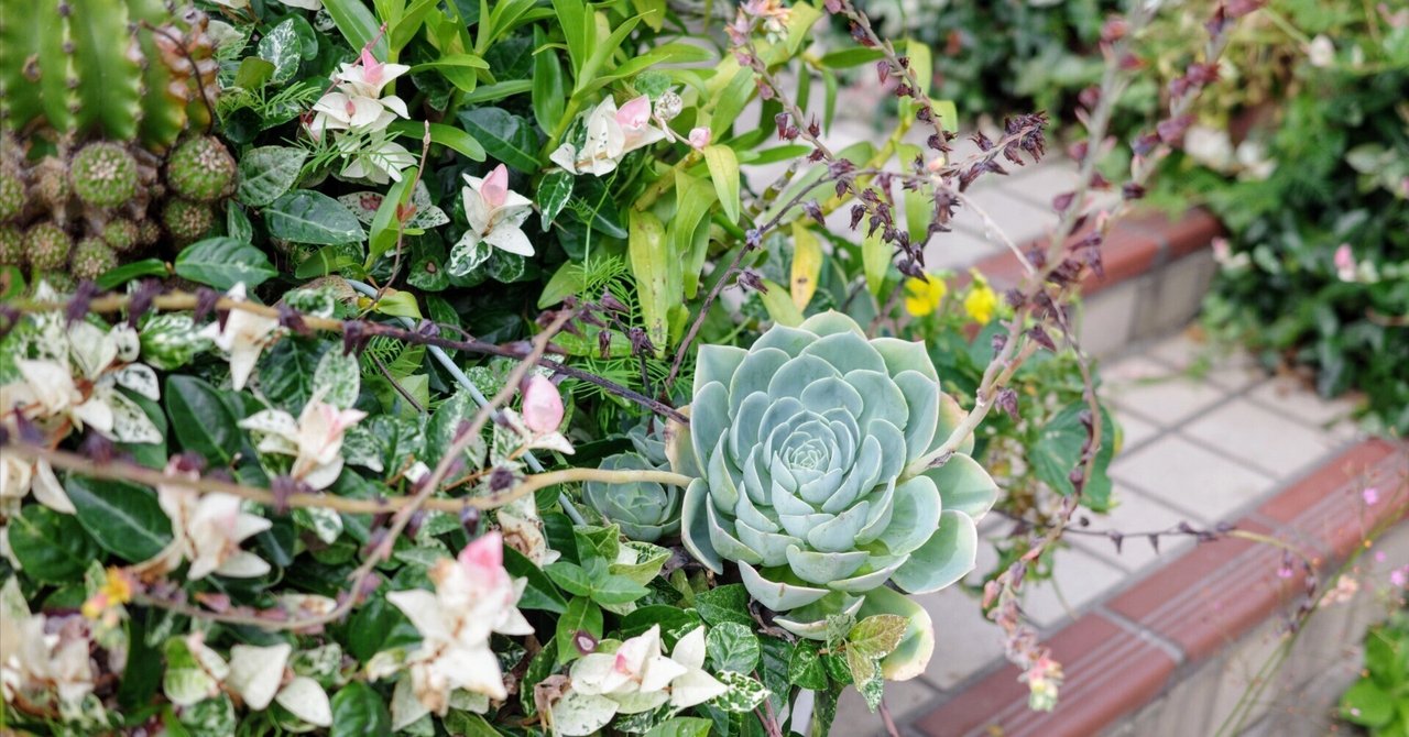 日記 83｜hazuki nakazawa