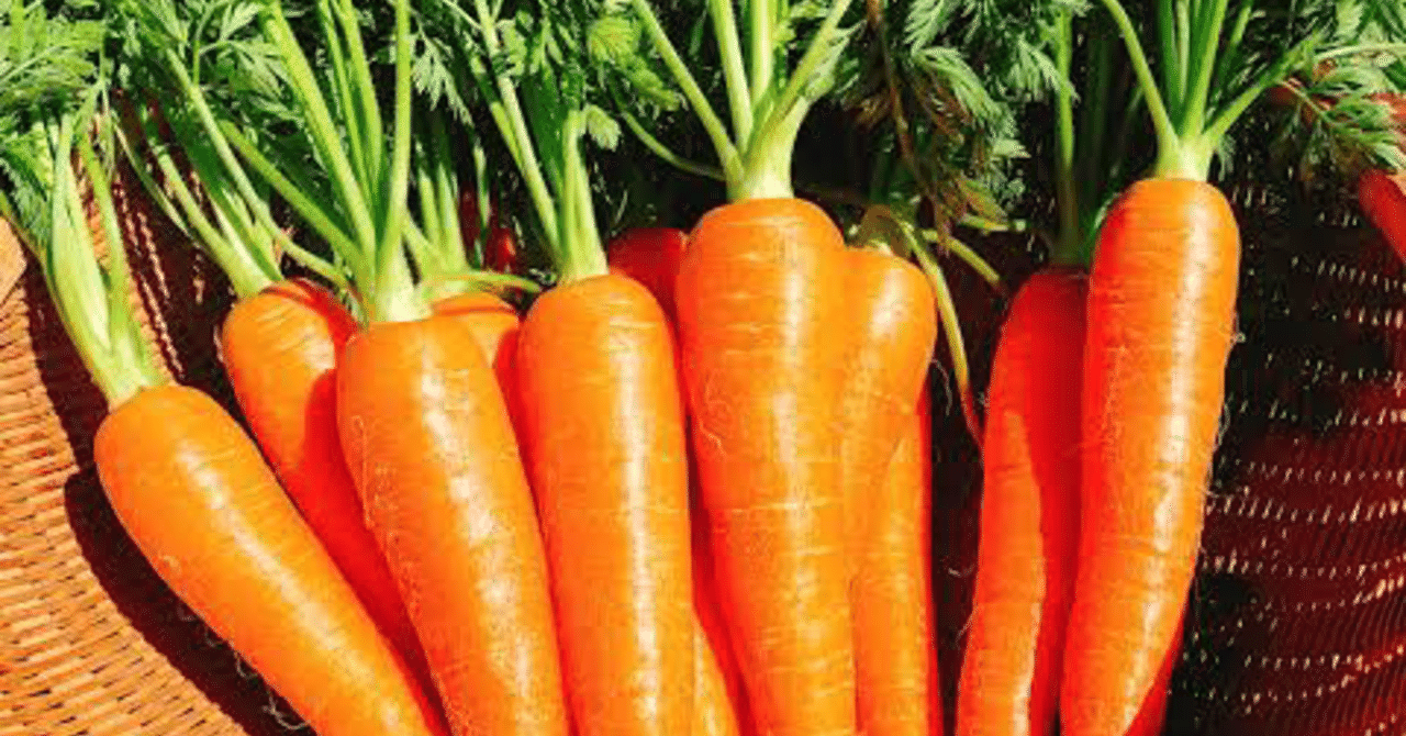 大腸炎｜Jien'sマガジン｜note