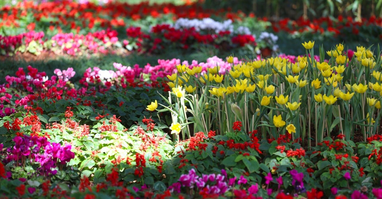 腸内フローラと肌フローラって、どこが似てるの？｜株式会社REJI広報室 スキンケアブランド【ATELO】公式note