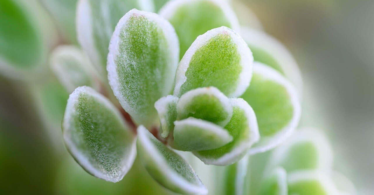 構造を理解するからのぉ〜『・・・』なハナシ｜topho_san