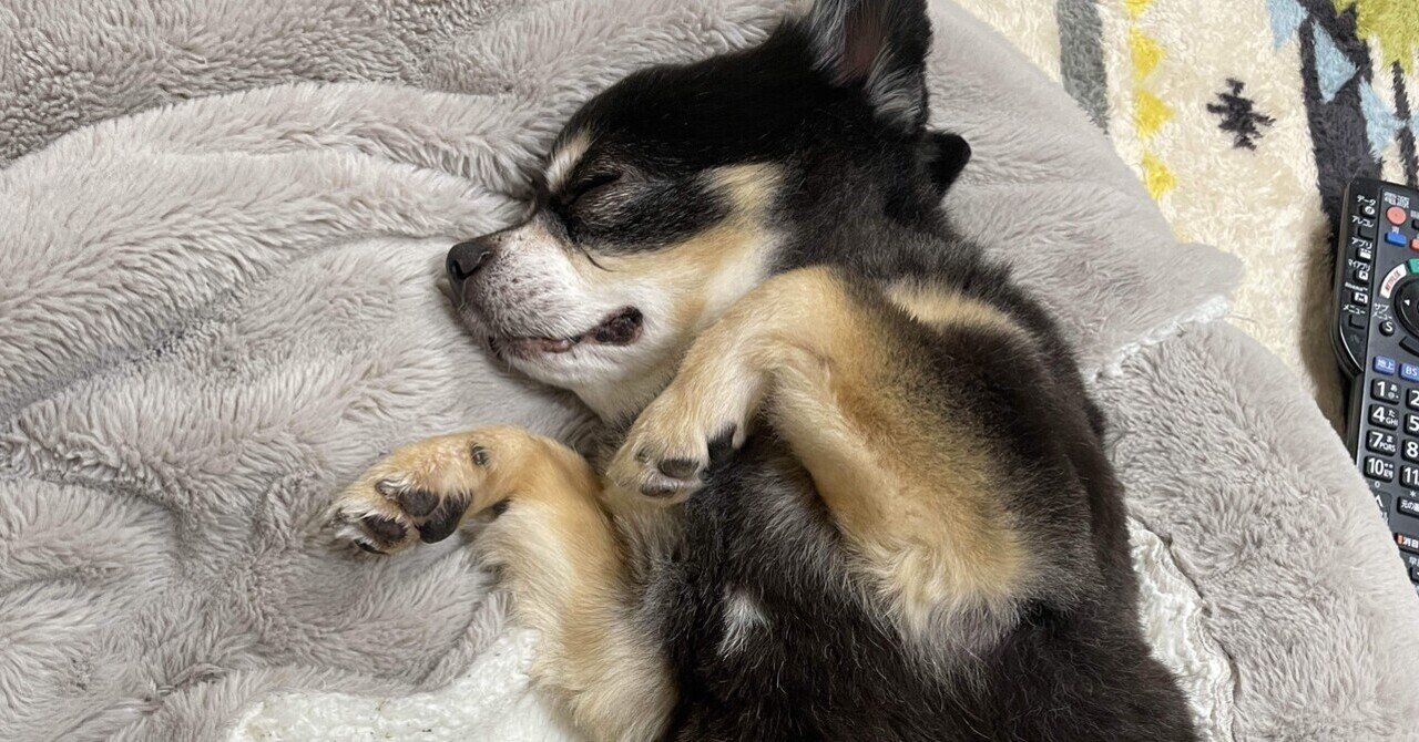 3行日記250719｜Mitsu