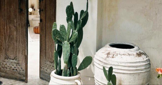 Ayaka Wada｜海外生活者／ライフクリエイター｜note