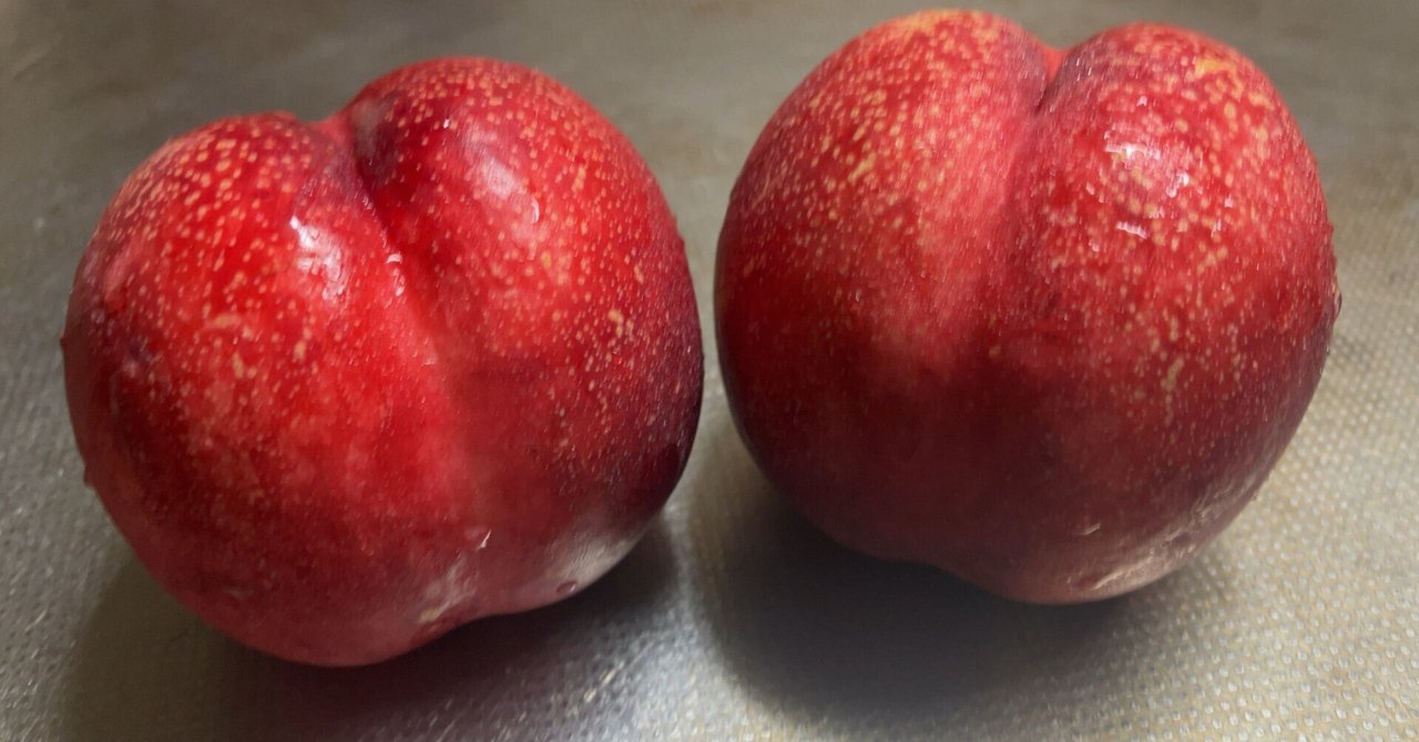 ネクタリン -くだもの2025-｜tetsu.i