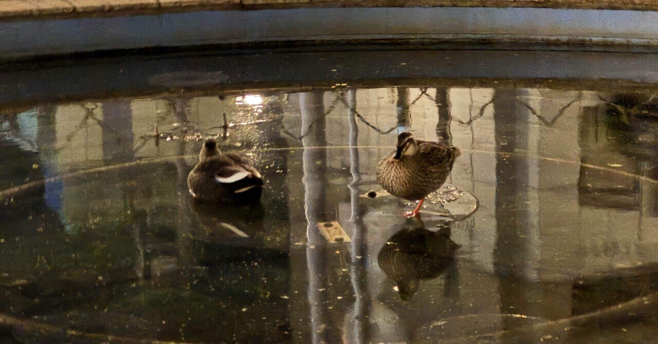 最近の散財について振り返る｜kamera_kozo