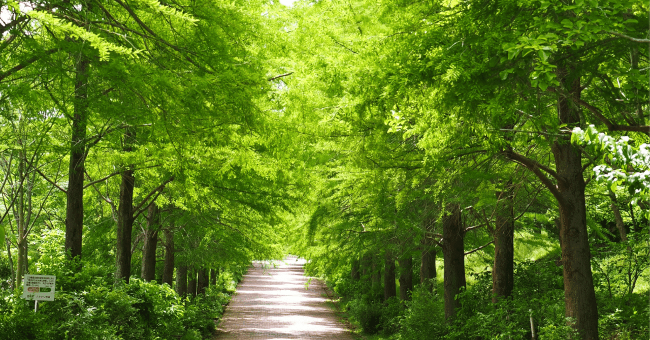 改めて、在宅ワークに舵を切りました。｜carat_ 77