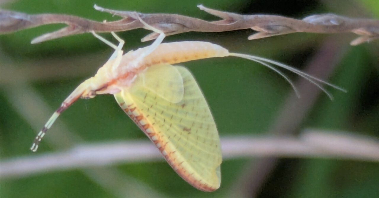 ごくつぶしのひまつぶし ㉖｜ichiro70