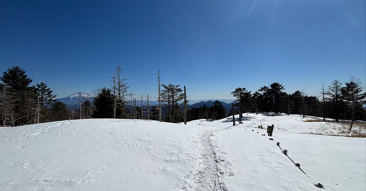 自己紹介｜Web/UIデザイナー｜ADHD/HSP｜Aimer/Metal｜はじめてのnote｜めたはむ