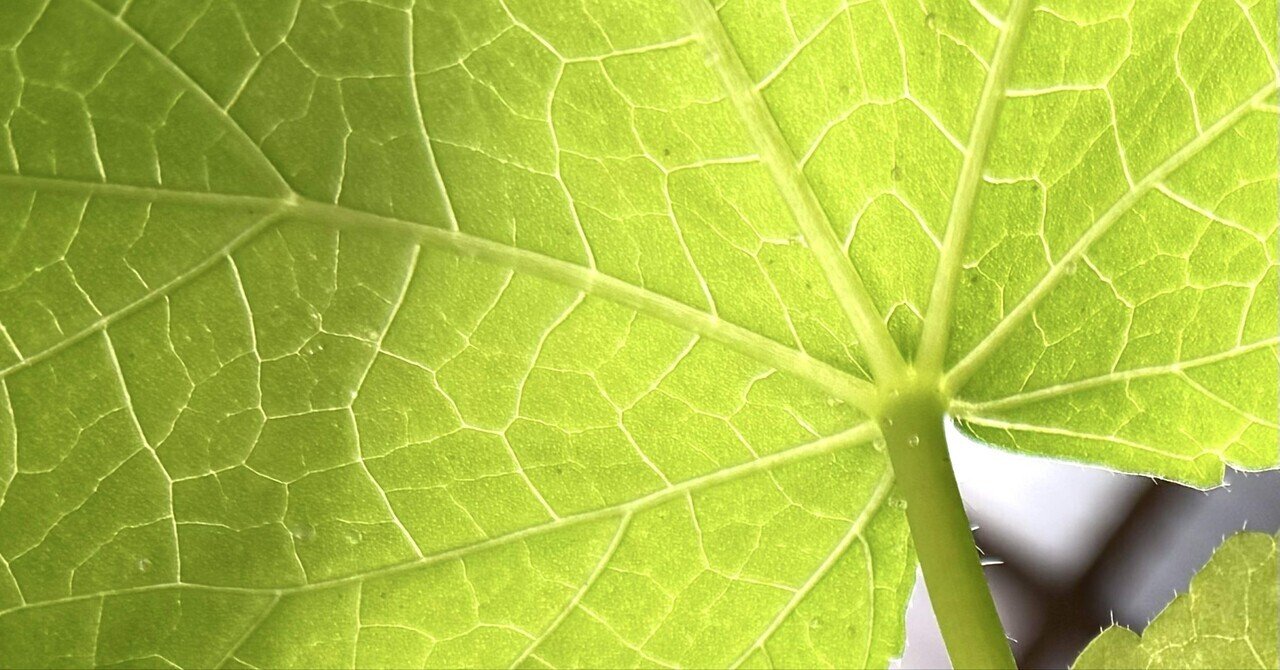 朝食 0721｜kyo☆ko