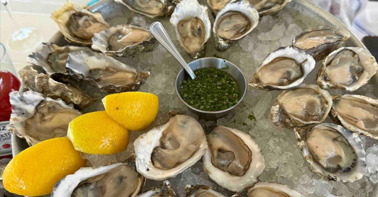 #236 成功するVCファンド投資もまた、「アート」と「サイエンス」 のうまいバランス｜ヨンロック (Youngrok Kim)