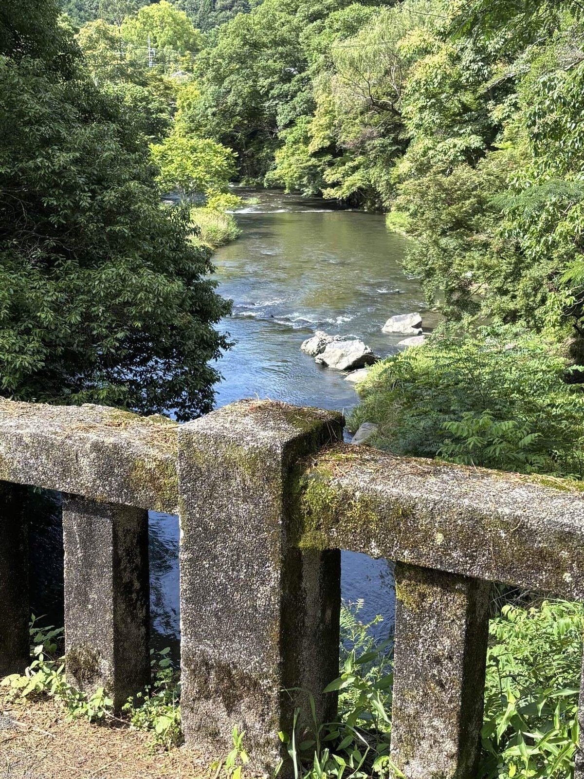 京都・八瀬の瑠璃光院は、異世界だった｜Uchan