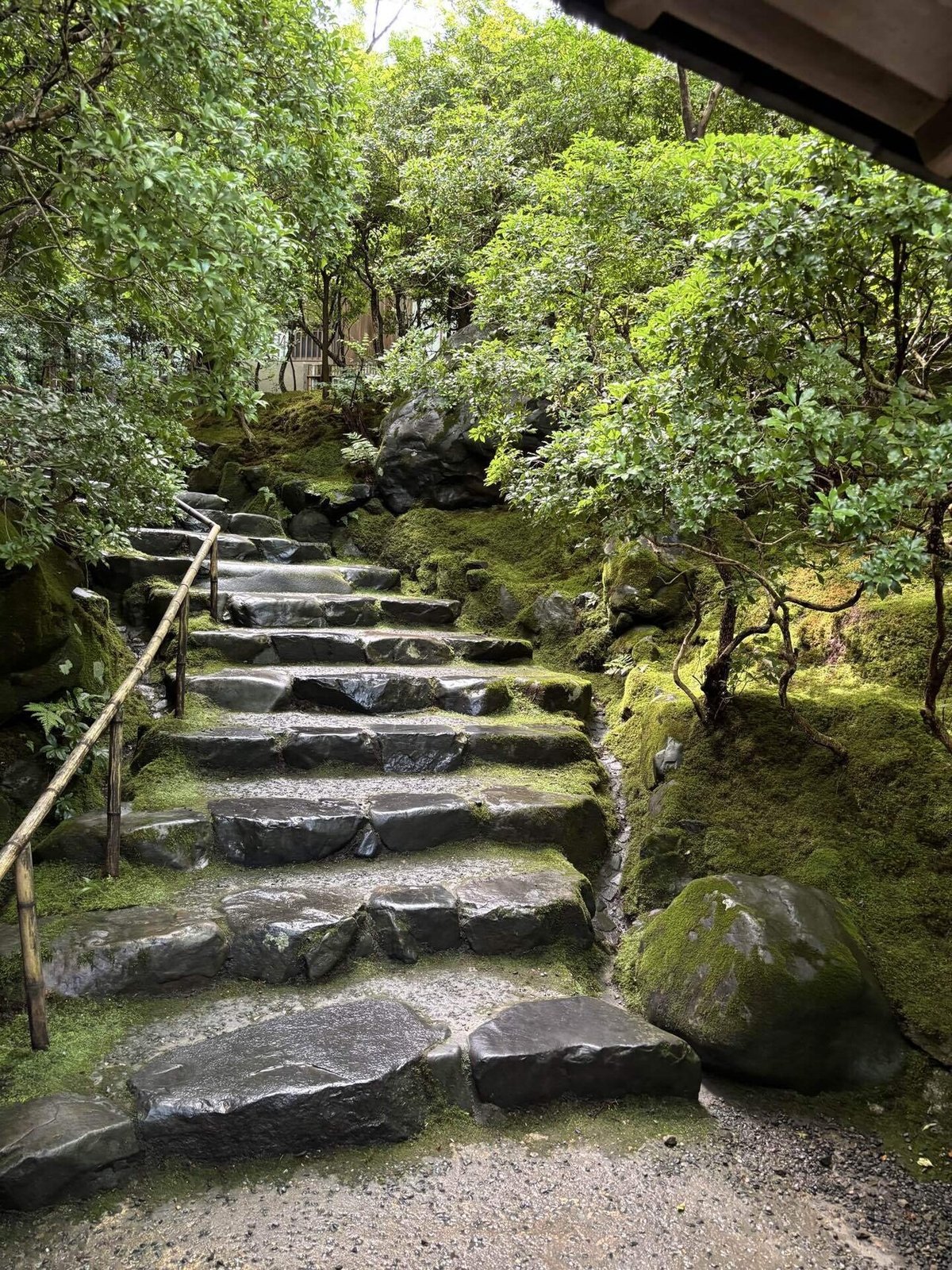 京都・八瀬の瑠璃光院は、異世界だった｜Uchan
