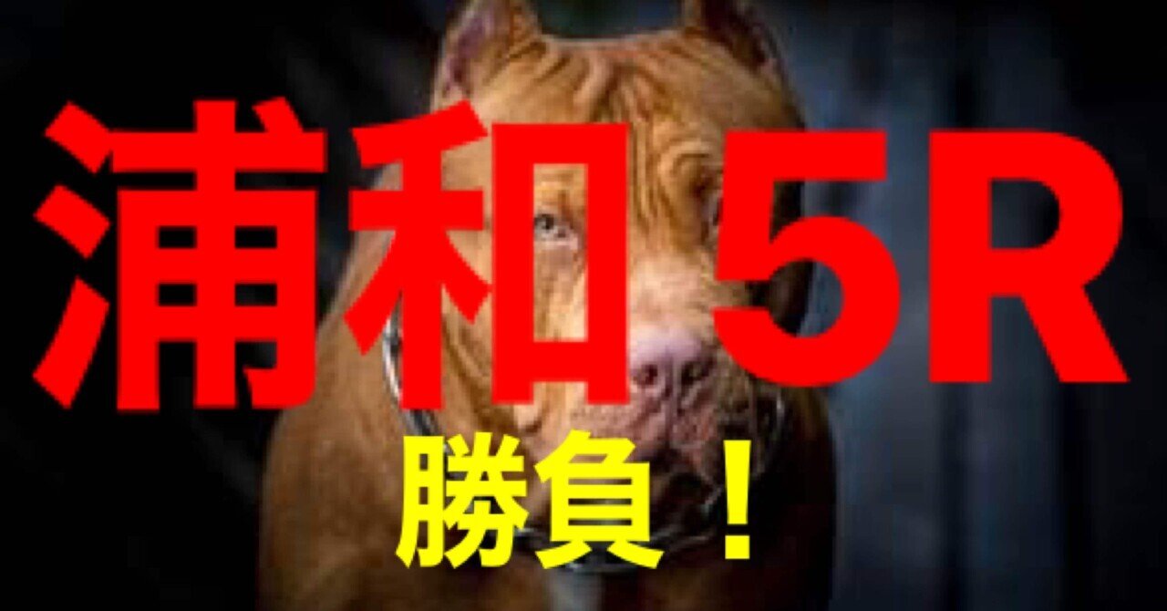 浦和5R勝負！｜パドック師匠【PD master】公式🌐