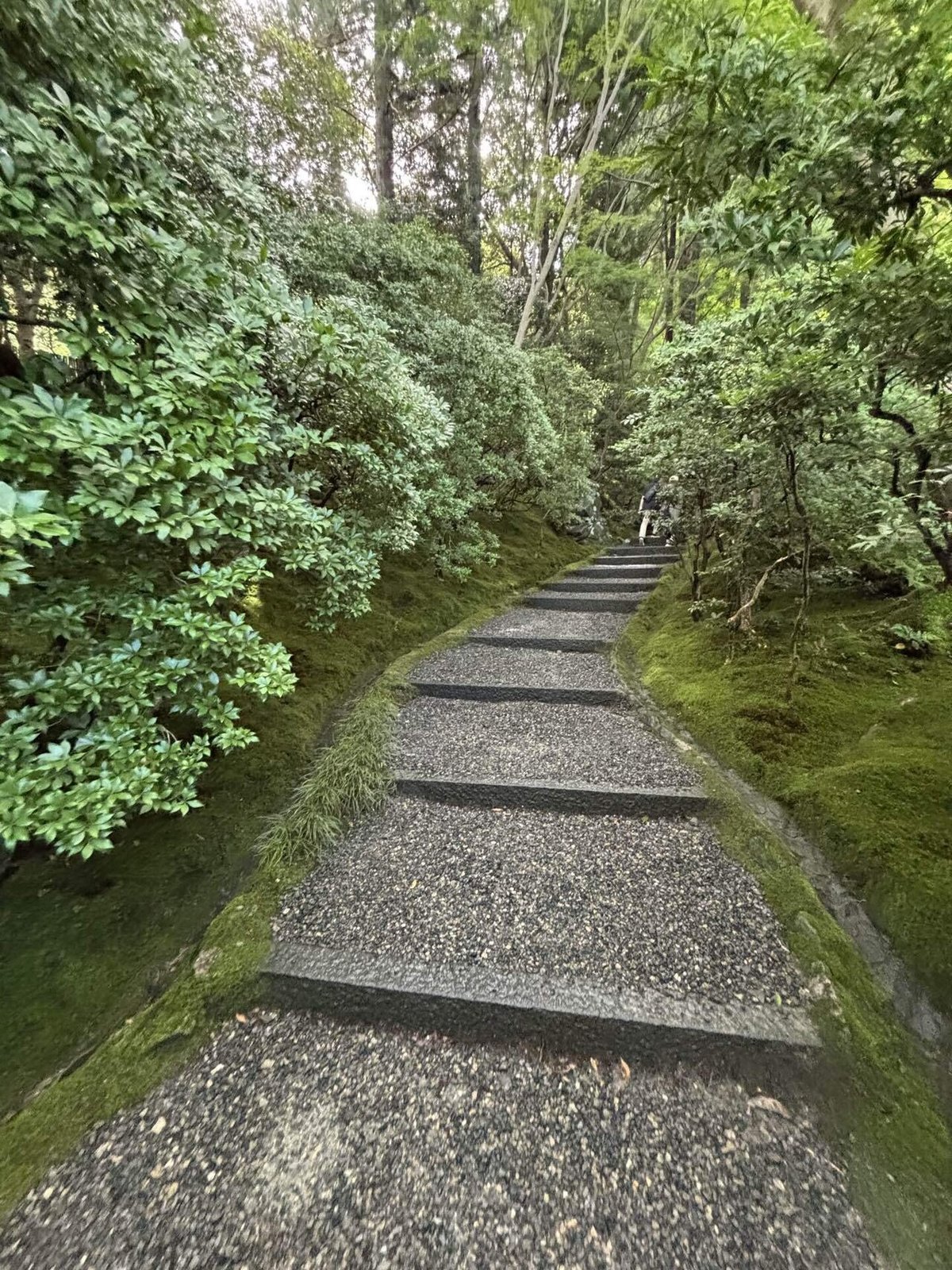 京都・八瀬の瑠璃光院は、異世界だった｜Uchan