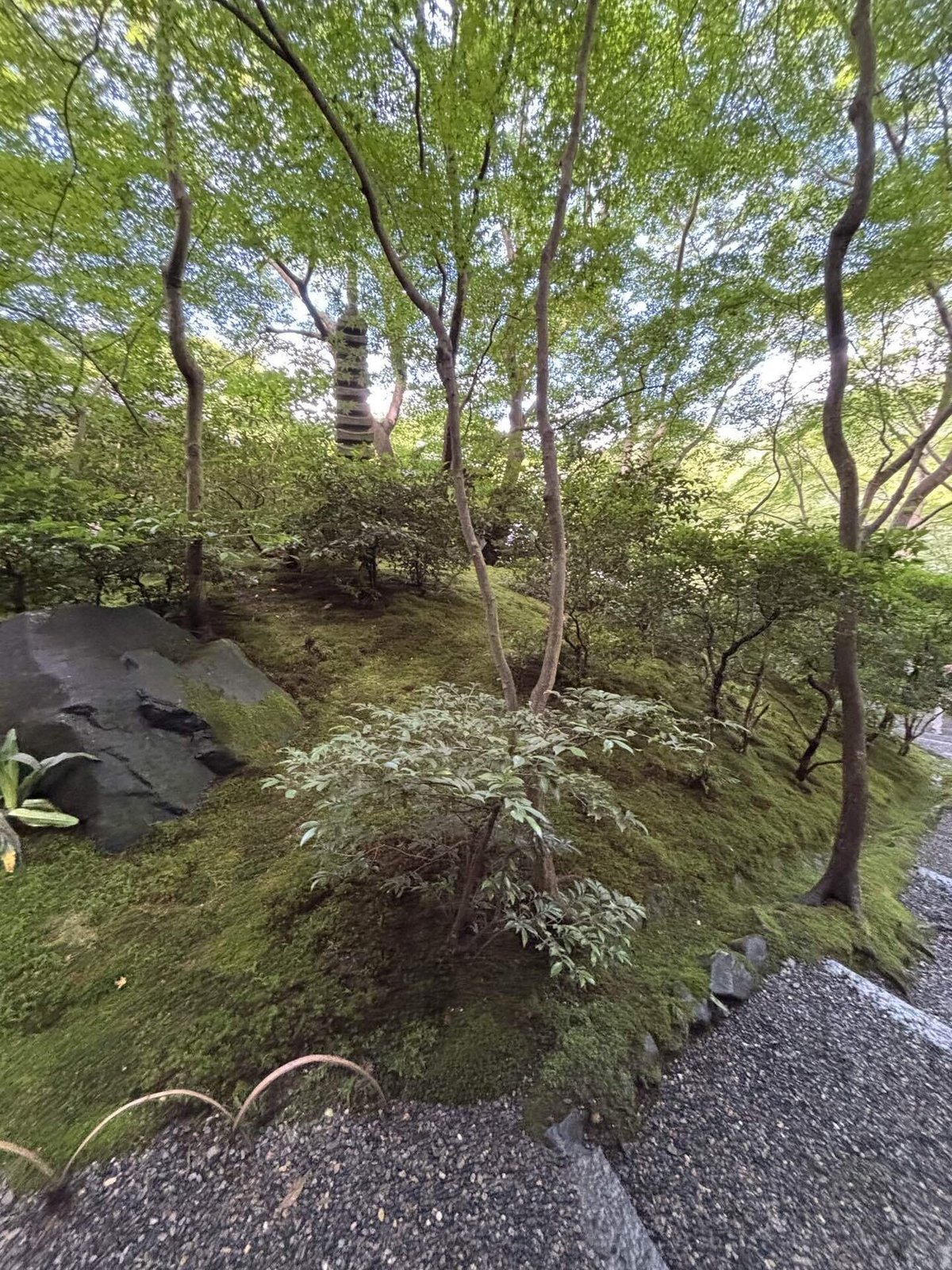 京都・八瀬の瑠璃光院は、異世界だった｜Uchan