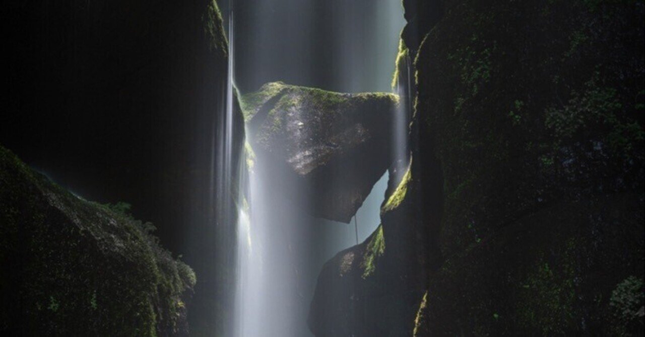 撮りたいものは、撮れるうちに。｜Negi Asatsuki