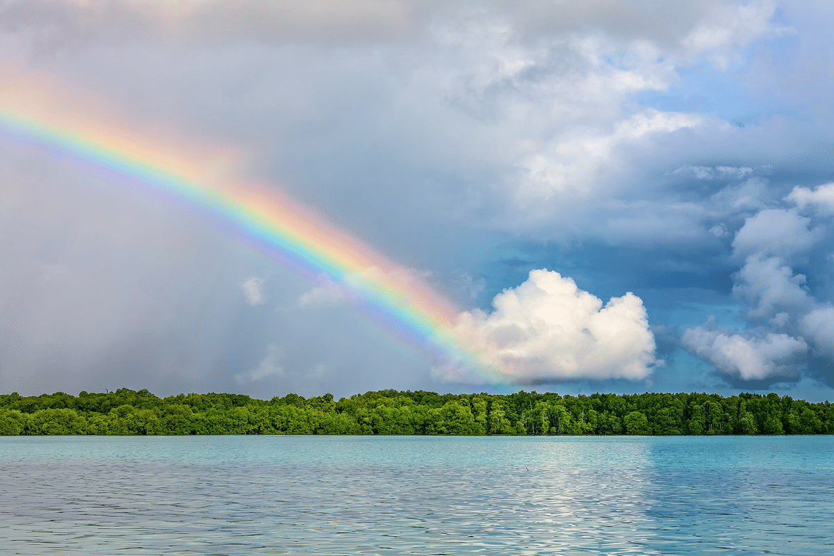 自己紹介| 40代 | 波乱万丈人生 | はじめてのnote ｜Hiro