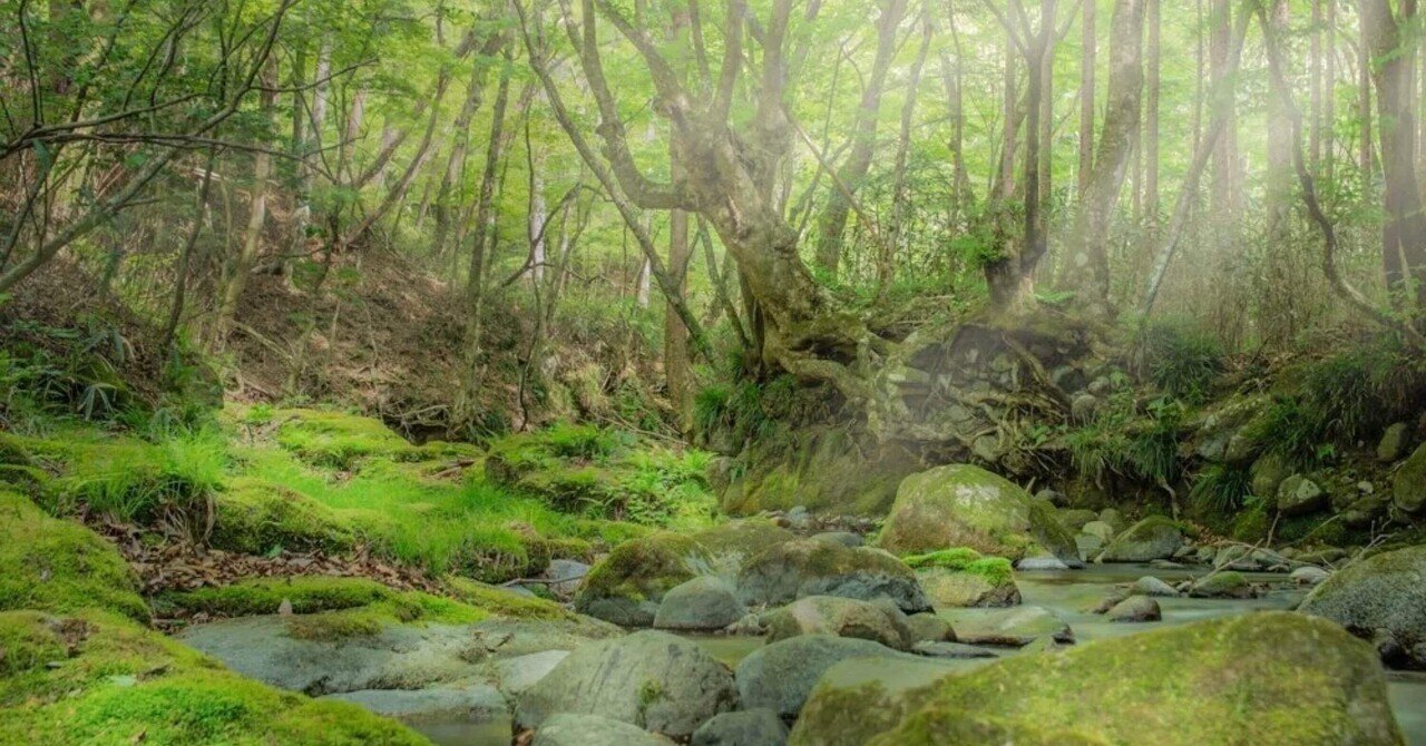 「絶滅危惧 × 愛らしさ」――ソレノドンTシャツ、登場。｜cocoro factory