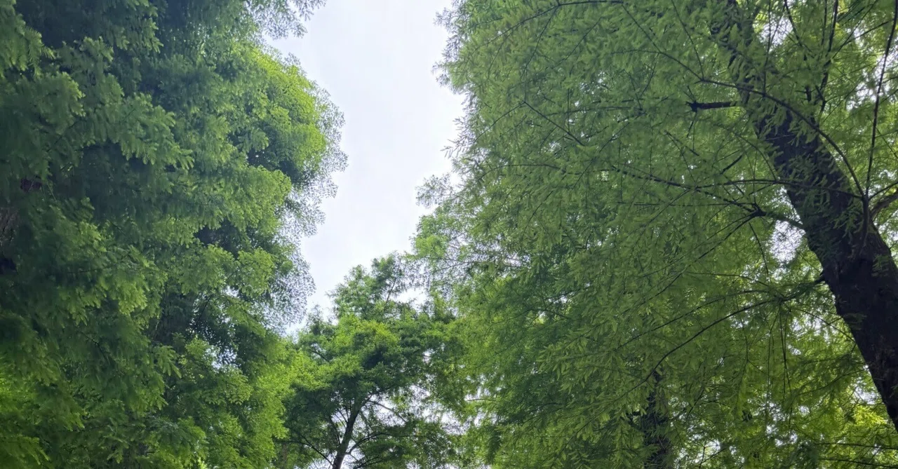 はじめに書こうと思った事｜dandory
