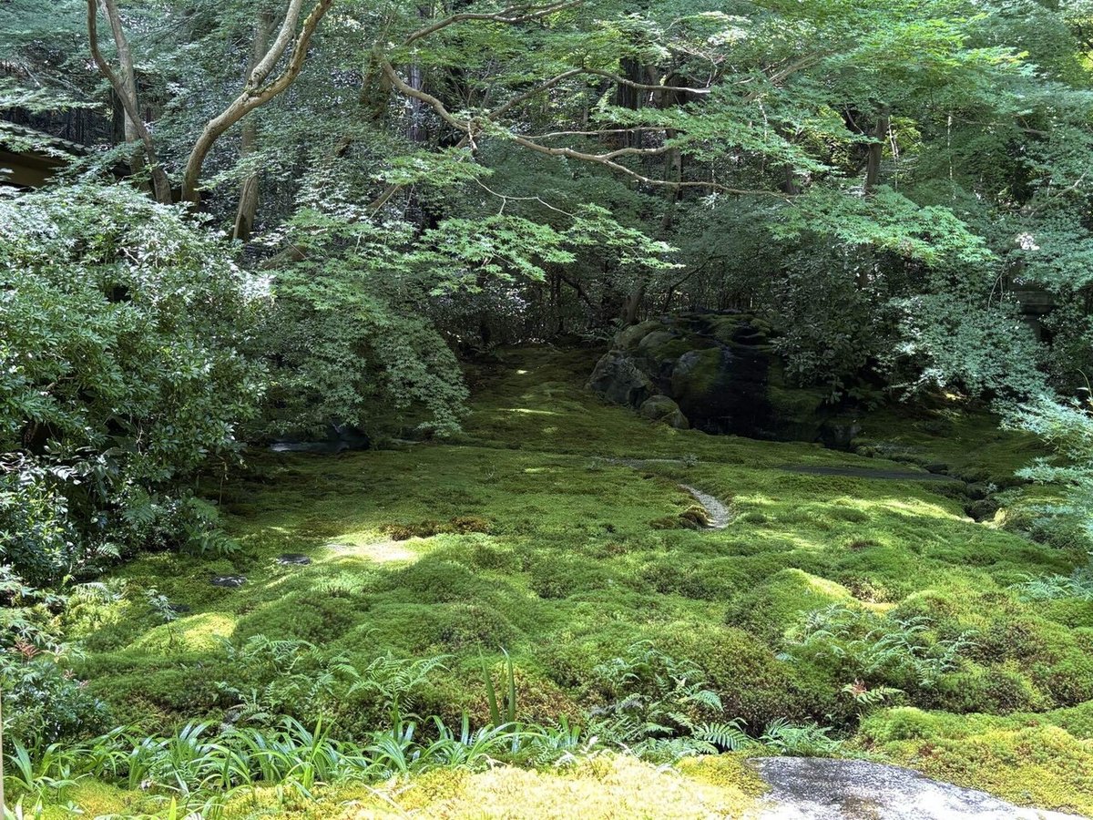 京都・八瀬の瑠璃光院は、異世界だった｜Uchan