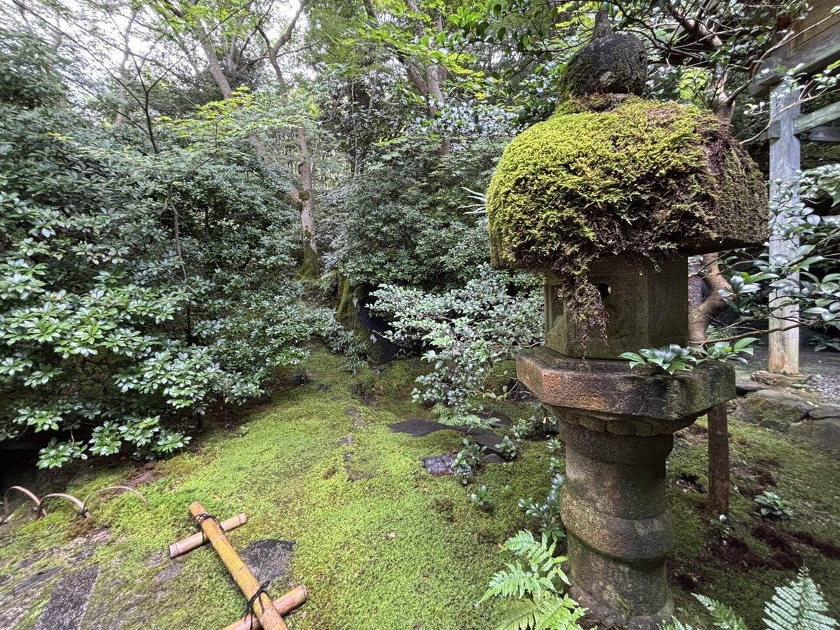 京都・八瀬の瑠璃光院は、異世界だった｜Uchan