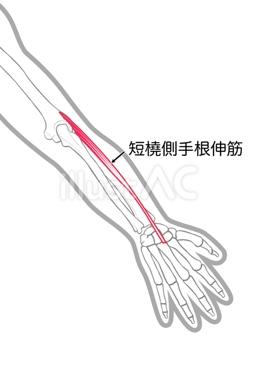 テニスしてないのに“テニス肘”と言われた｜新 裕真/Atarashi Yuma