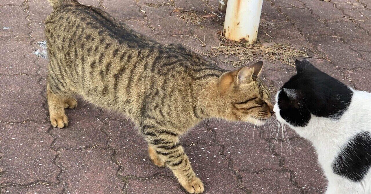 「どうぶつ基金」に寄付をしてみた件｜unitason