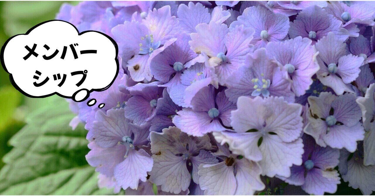 子どもがいることで〝より〟未来を考える｜Nobu-Oh