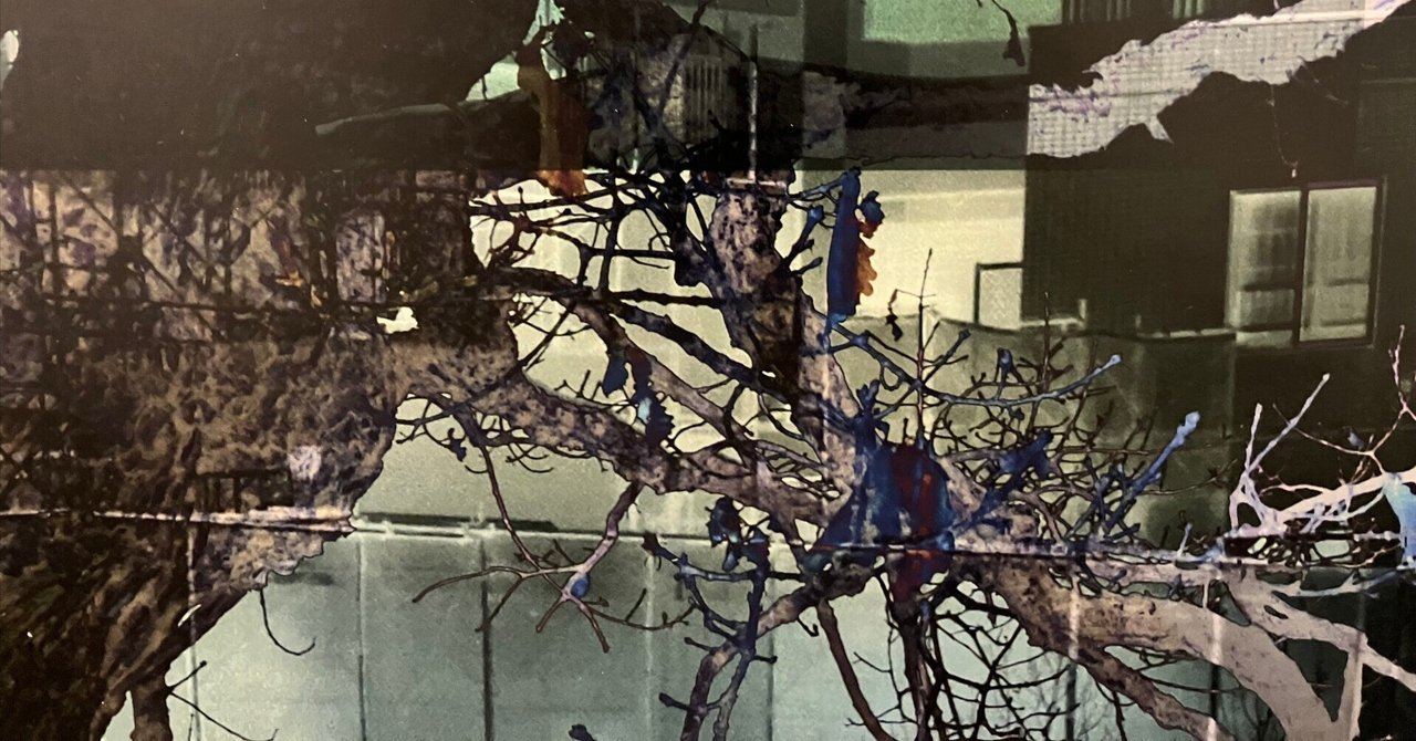 『明るい部屋』 読書 (2025 7/23)｜Tetsu