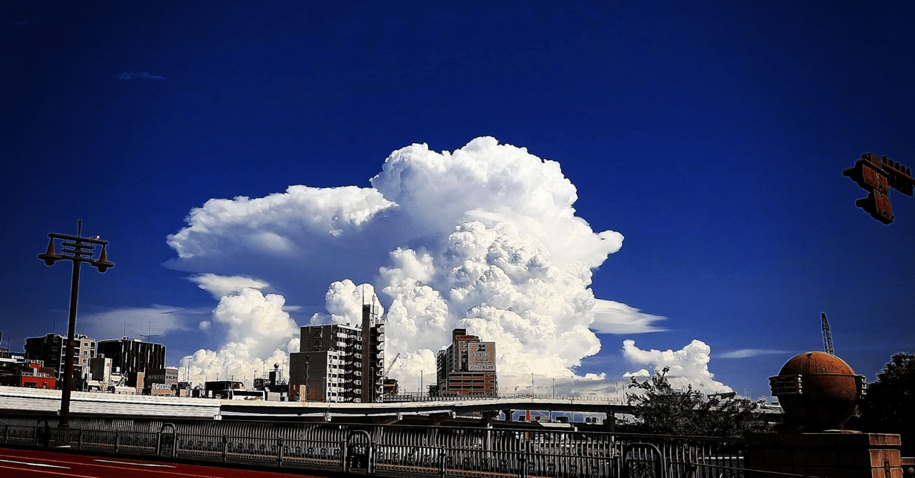 コラム：日本人は制度を知らずに“ゆりかご”で生きる｜Aile