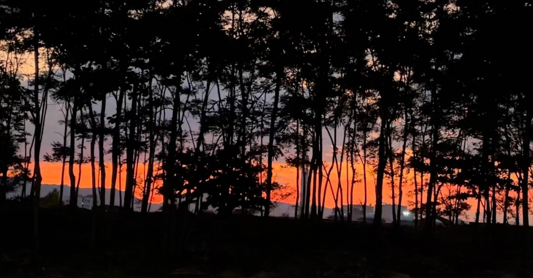 tomoya okoshi｜note