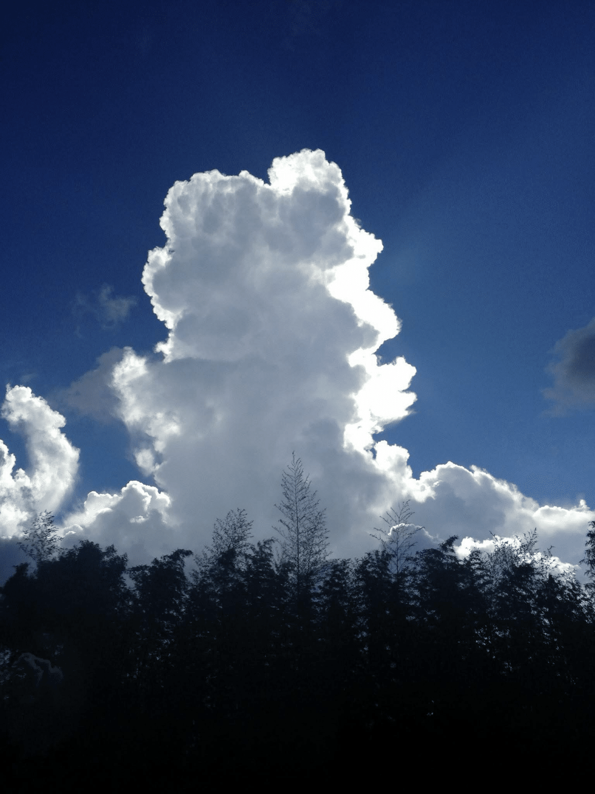 蚊に20ヶ所以上刺されたけど｜Monet Koyuki