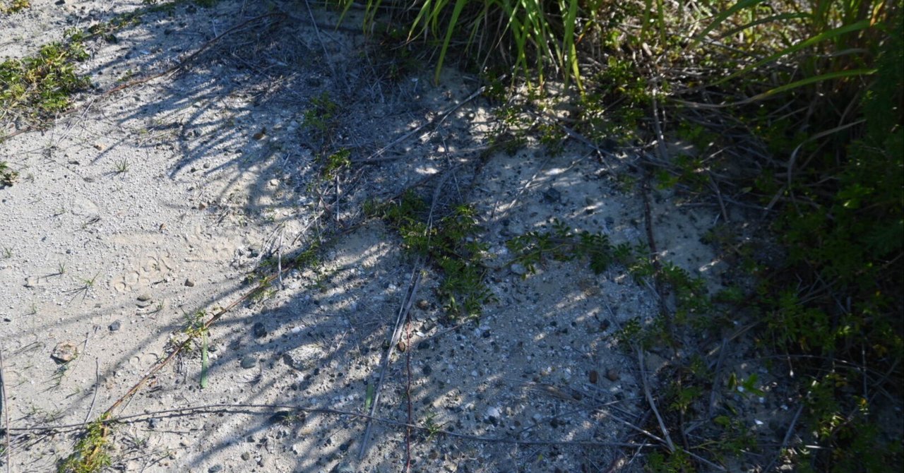 いっぱい、ただあるだけ｜過去の断片＃03 ｜tomoya okoshi