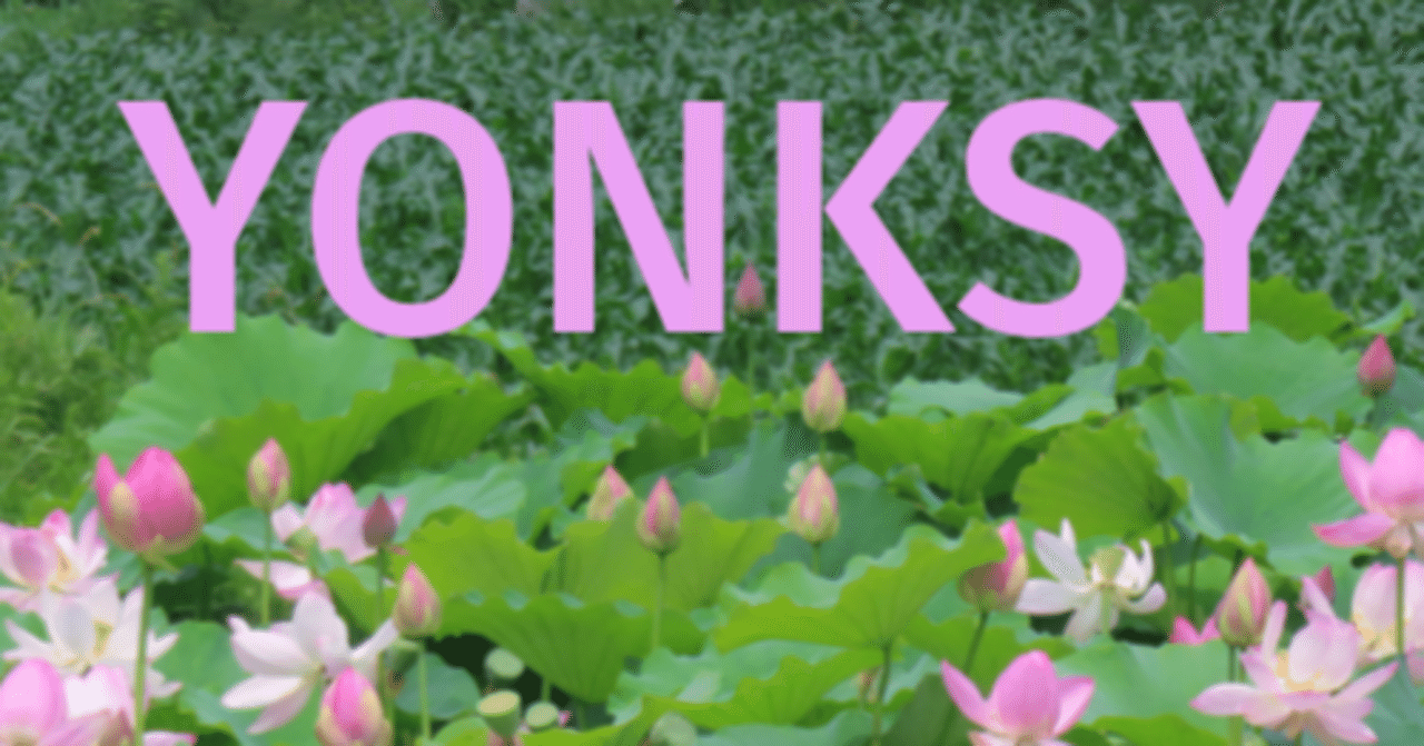 YONKSY 8月8日｜YONKSY