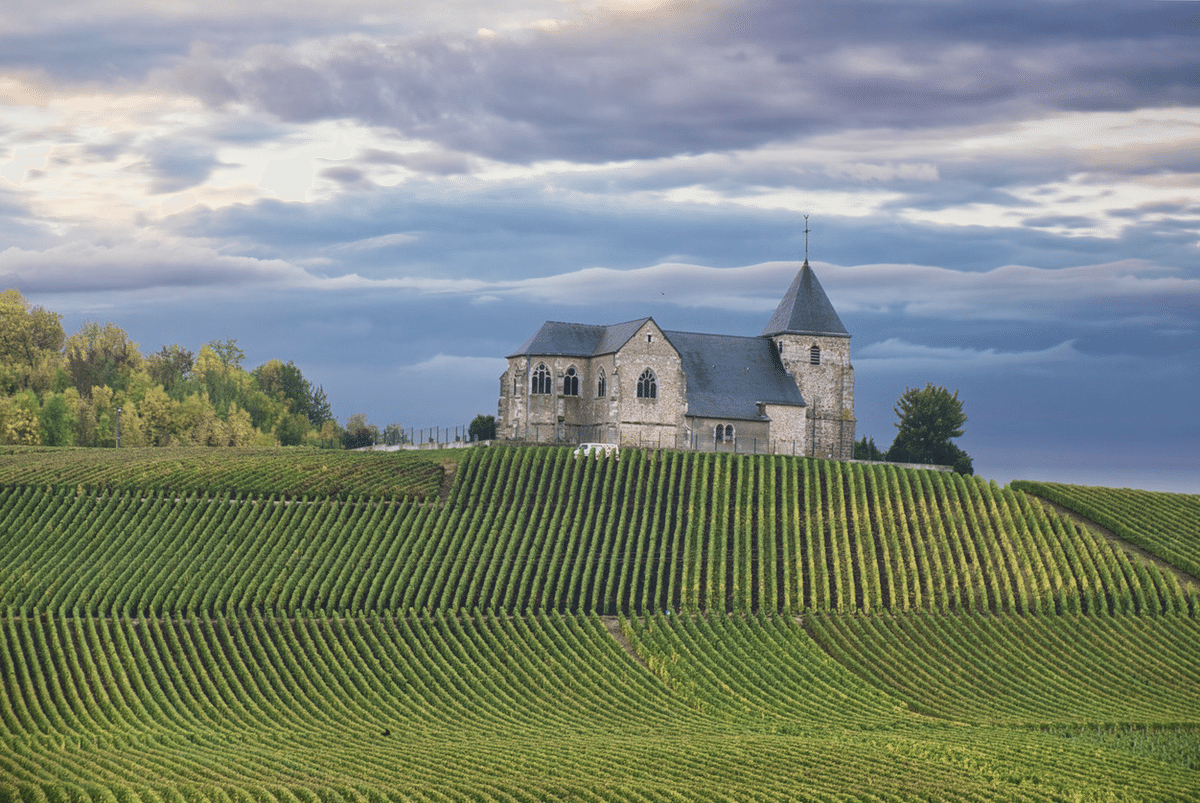 シャンパーニュとは何か？について改めてまとめてみた｜emiko_winelover