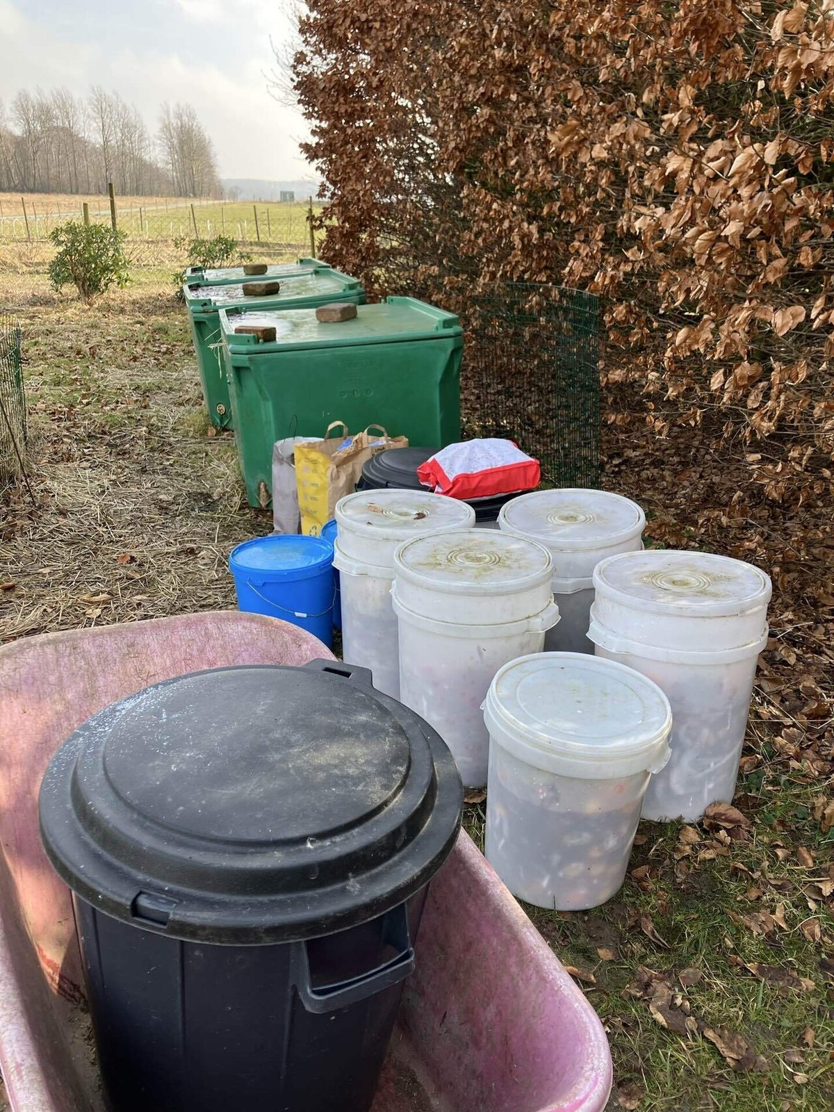 Workaway先での暮らし〜スウェーデン編〜｜Yuna