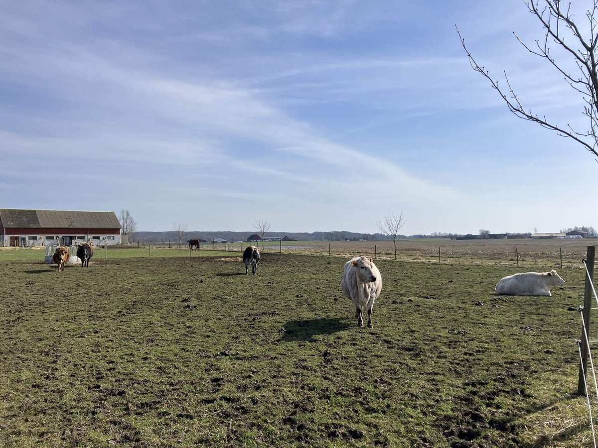 Workaway先での暮らし〜スウェーデン編〜｜Yuna