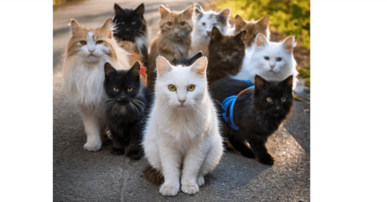 満員電車でギッタン（バッコン）｜カホ