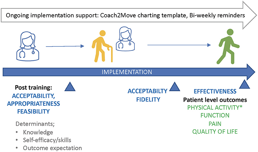 Implementing a Dutch Physical Therapy Intervention Into a U.S. Health ...
