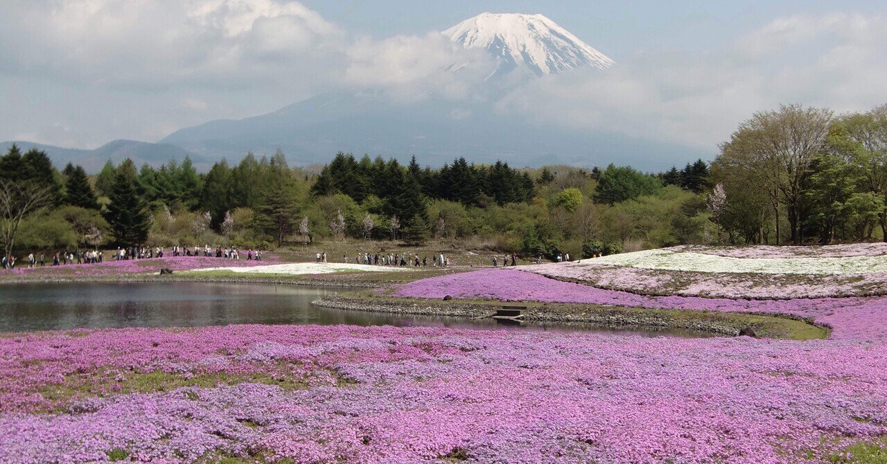 富士芝桜まつり 2010 / FUJI SHIBAZAKURA FES 2010(Yamanashi, Japan)｜N.Hagimoto