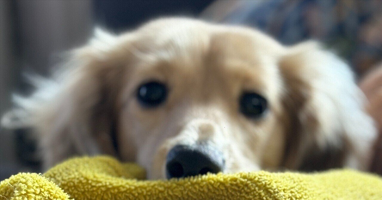 あっきーLucky｜note