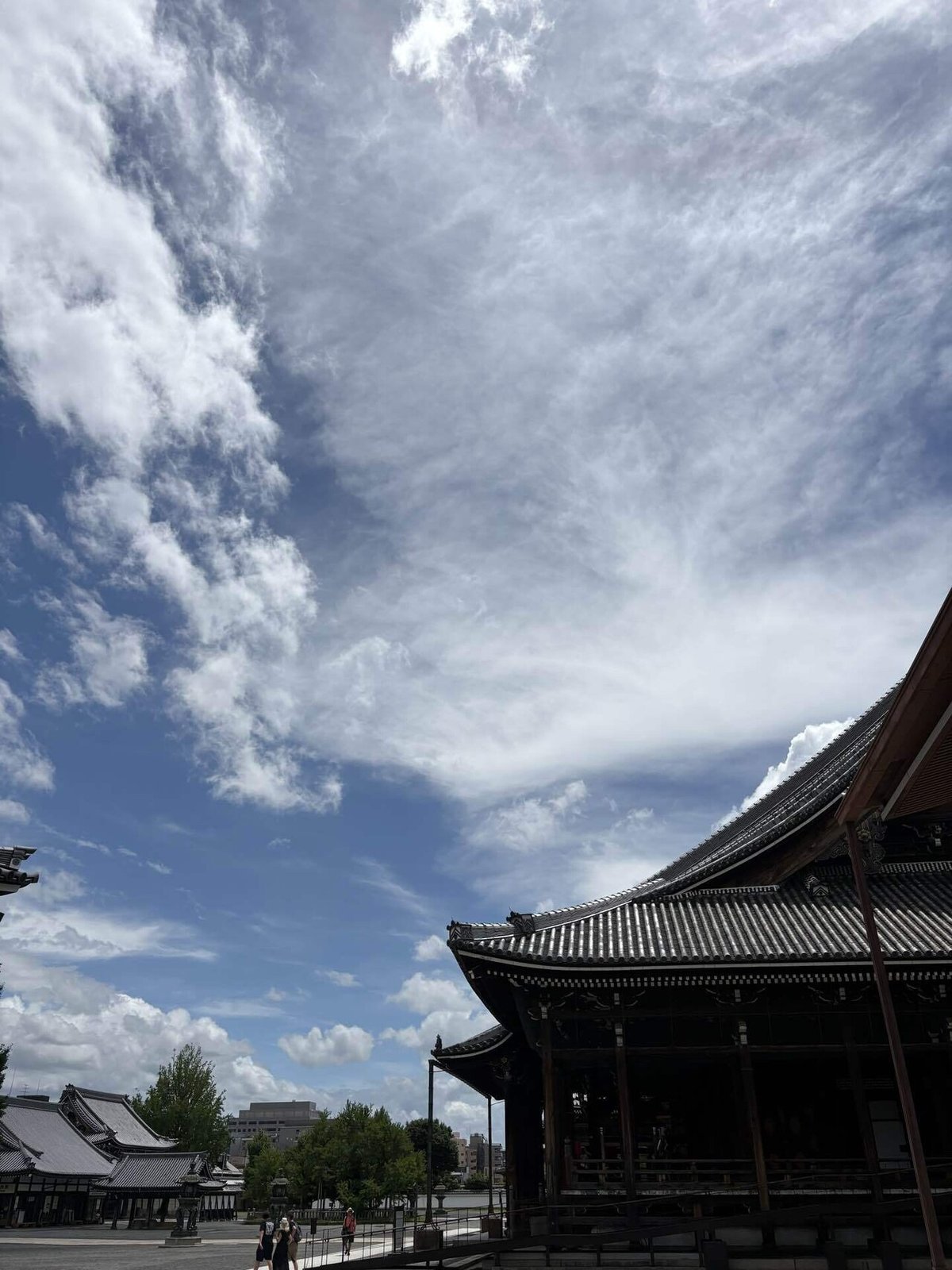 #26 元研究者が挑む“食×メンタルヘルス”の起業~転職・独立を経てFoodamentalが描く未来~｜Junki Yoshida