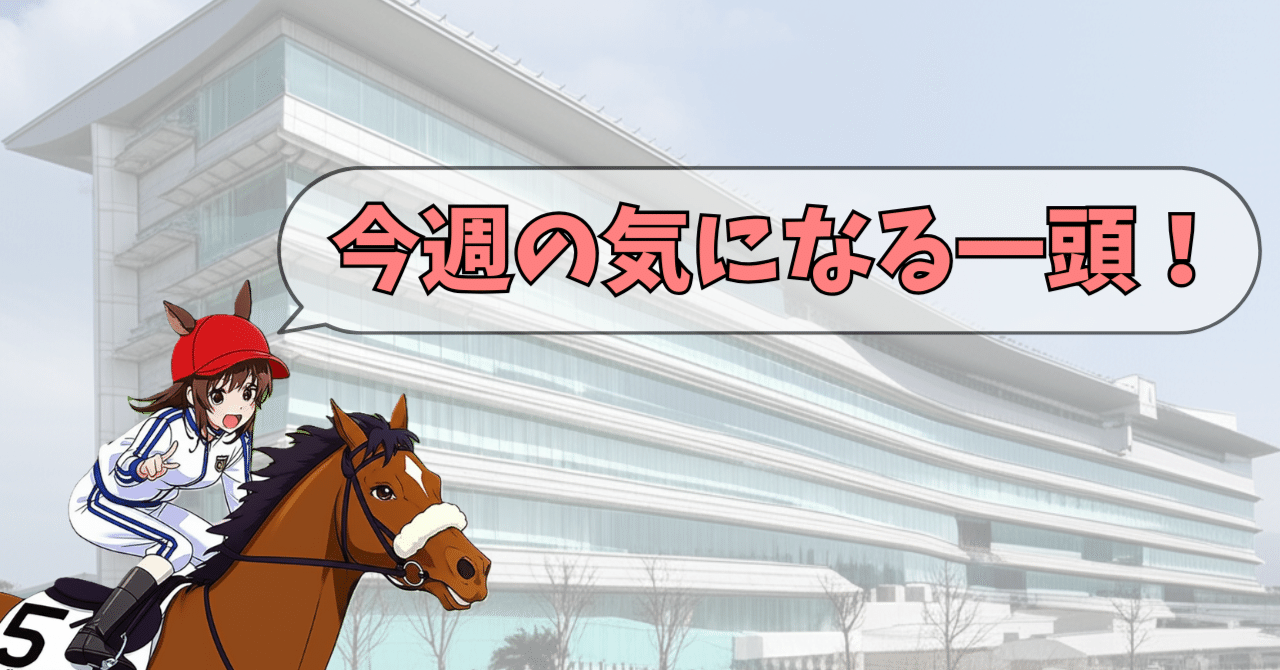 7/27(日) 新潟10R「未勝利で足掻く良血馬📉新潟開催で身代わり期待！！⤴️」｜アオの馬なり日記