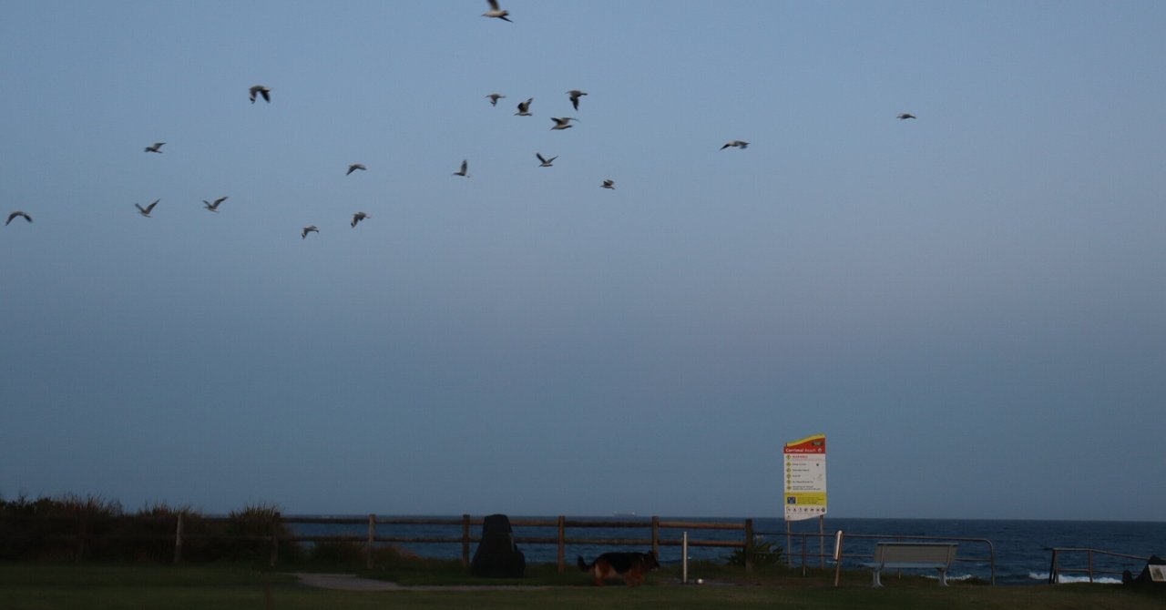 自己紹介 vol.2 詩も好きなんです。｜manaca